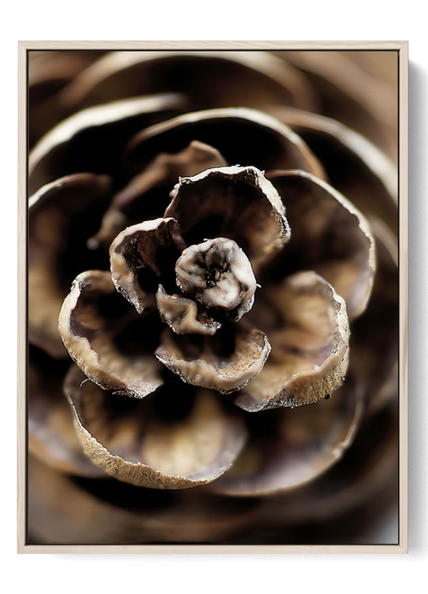 Abstract Pine Cone Detail Poster | Natural Wall Art | OakPoster.com ...