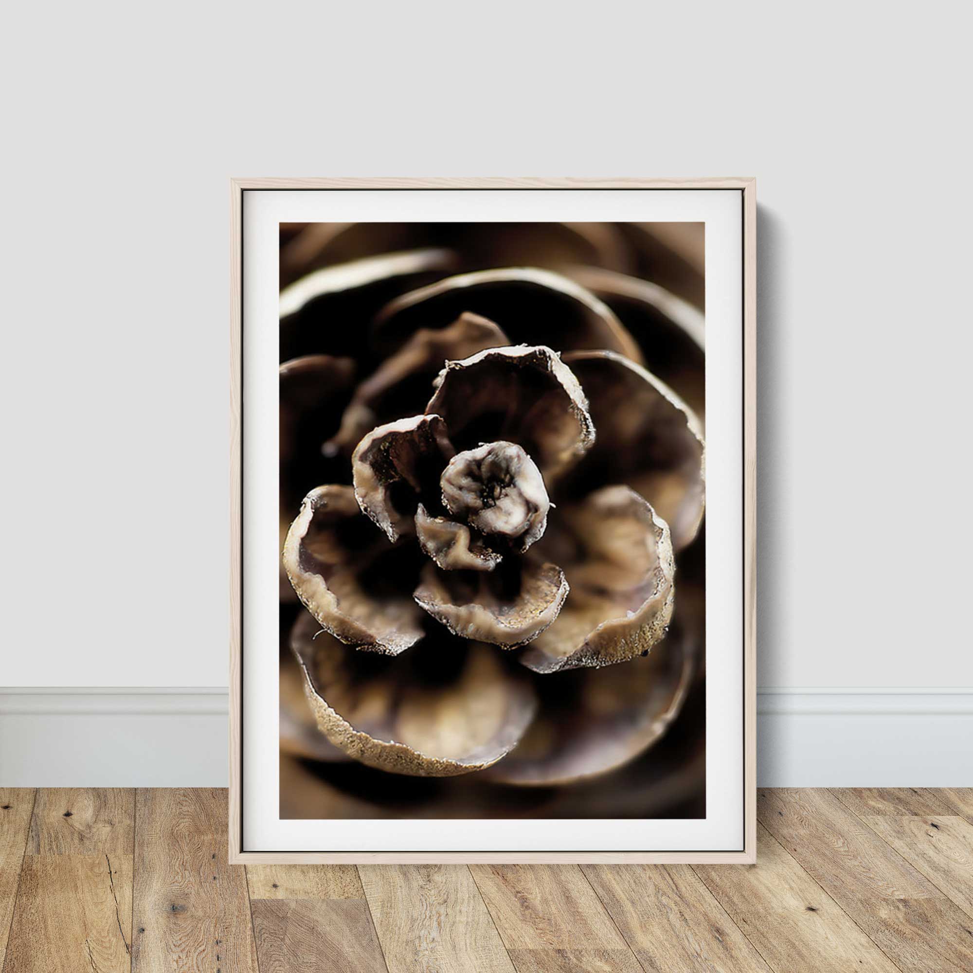 Abstract Pine Cone Detail Poster | Natural Wall Art | OakPoster.com ...