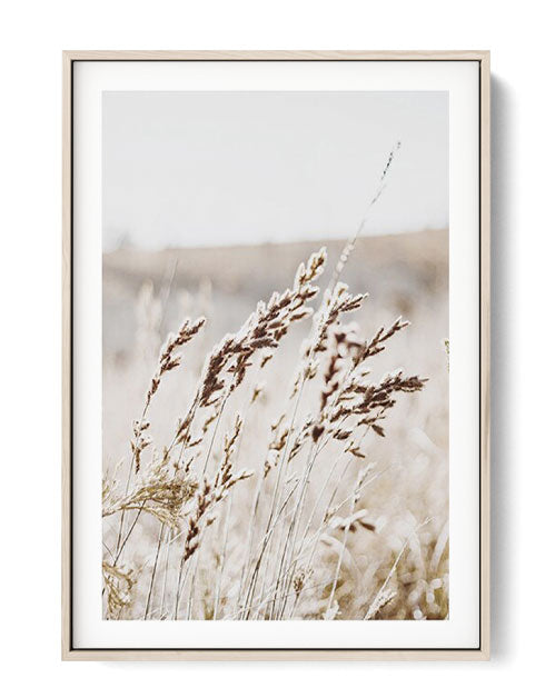 Wild Grass Poster - Nature and Botanical Prints Online - oakposter.ca